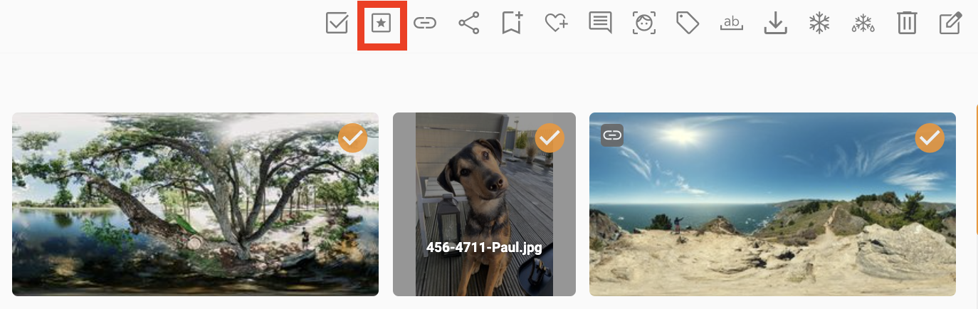 My Selections – Help Center - English
