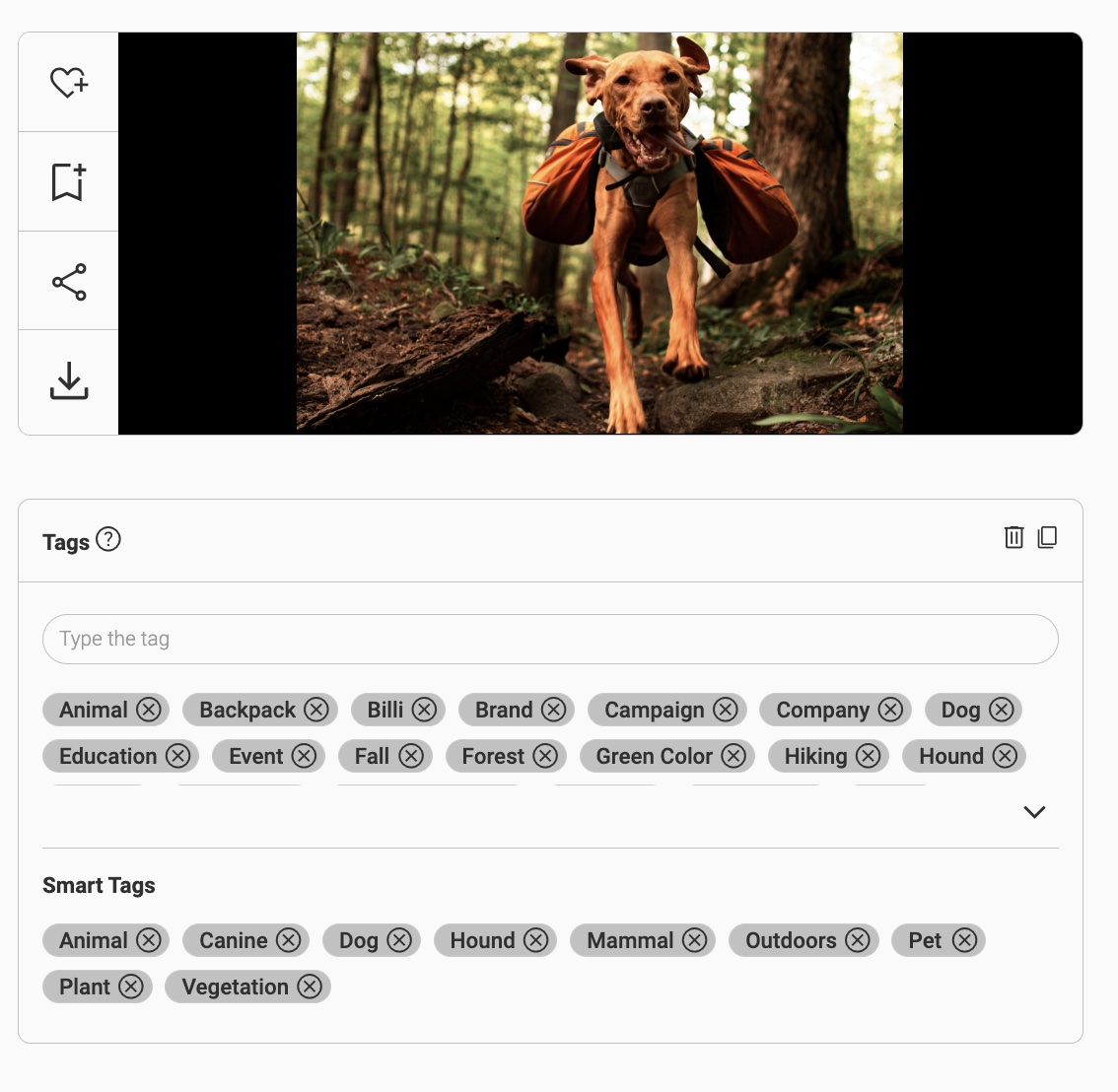 Tags: Best Practices – Help Center - English