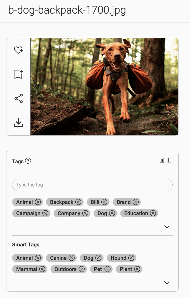 Difference between Keywords and Tags – Help Center - English Difference between Keywords and Tags – Help Center - English