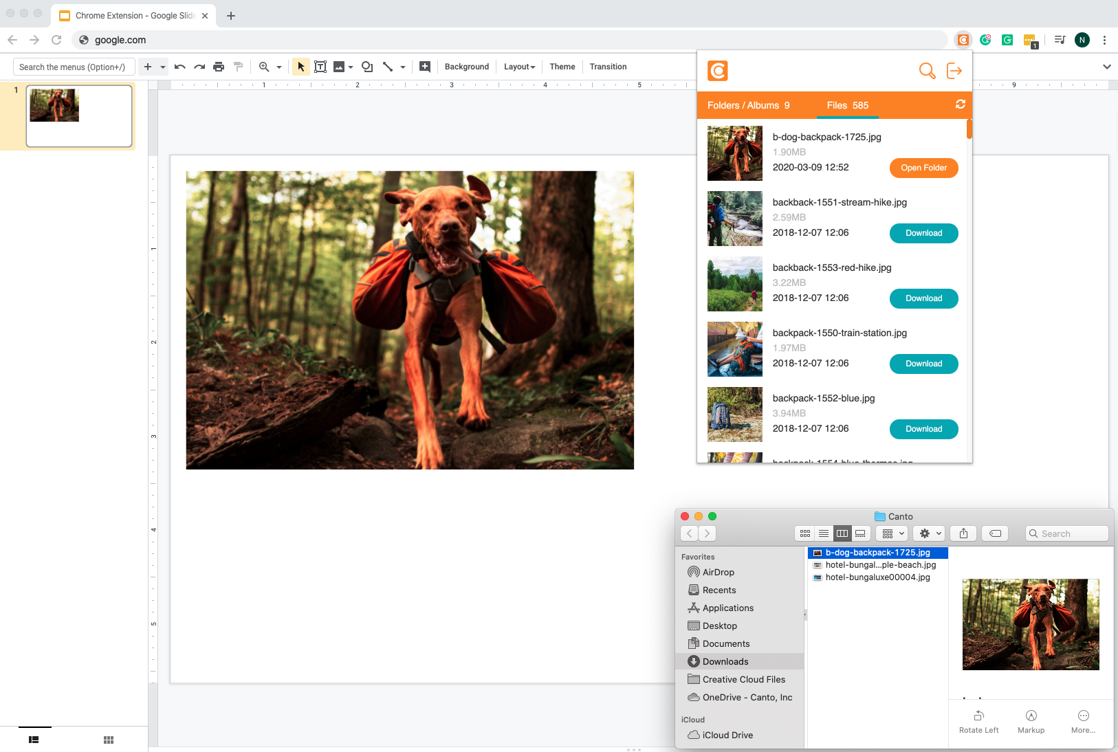 Canto Chrome Extension – Help Center - English Canto Chrome Extension – Help Center - English
