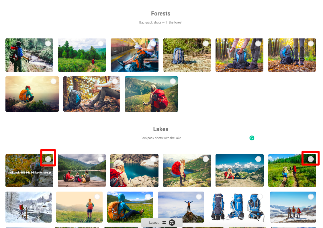 Curated View – Help Center - English