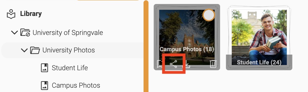 Curated View – Help Center - English